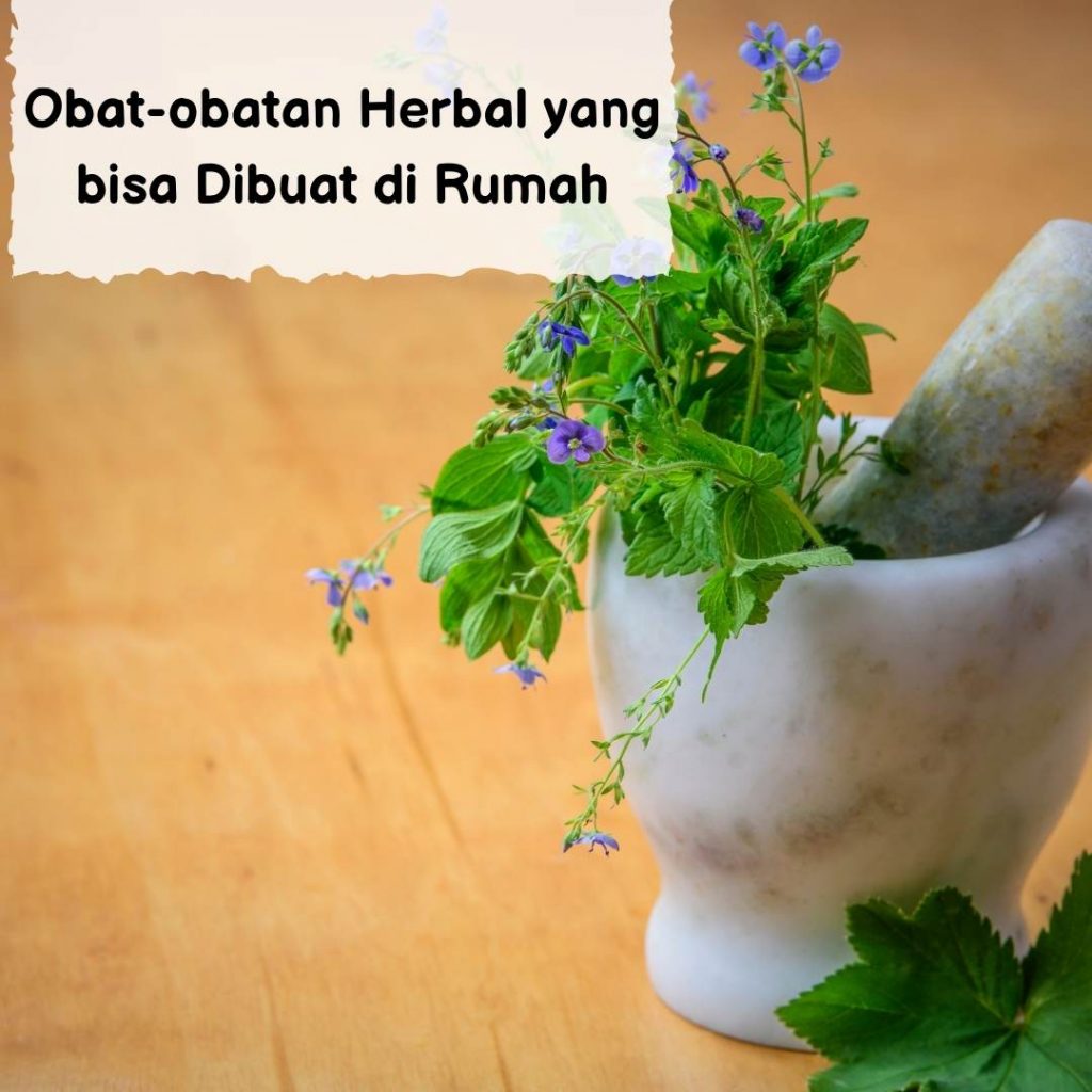 Obat Herbal yang Bisa Dibuat di Rumah - Elza Dwisyah